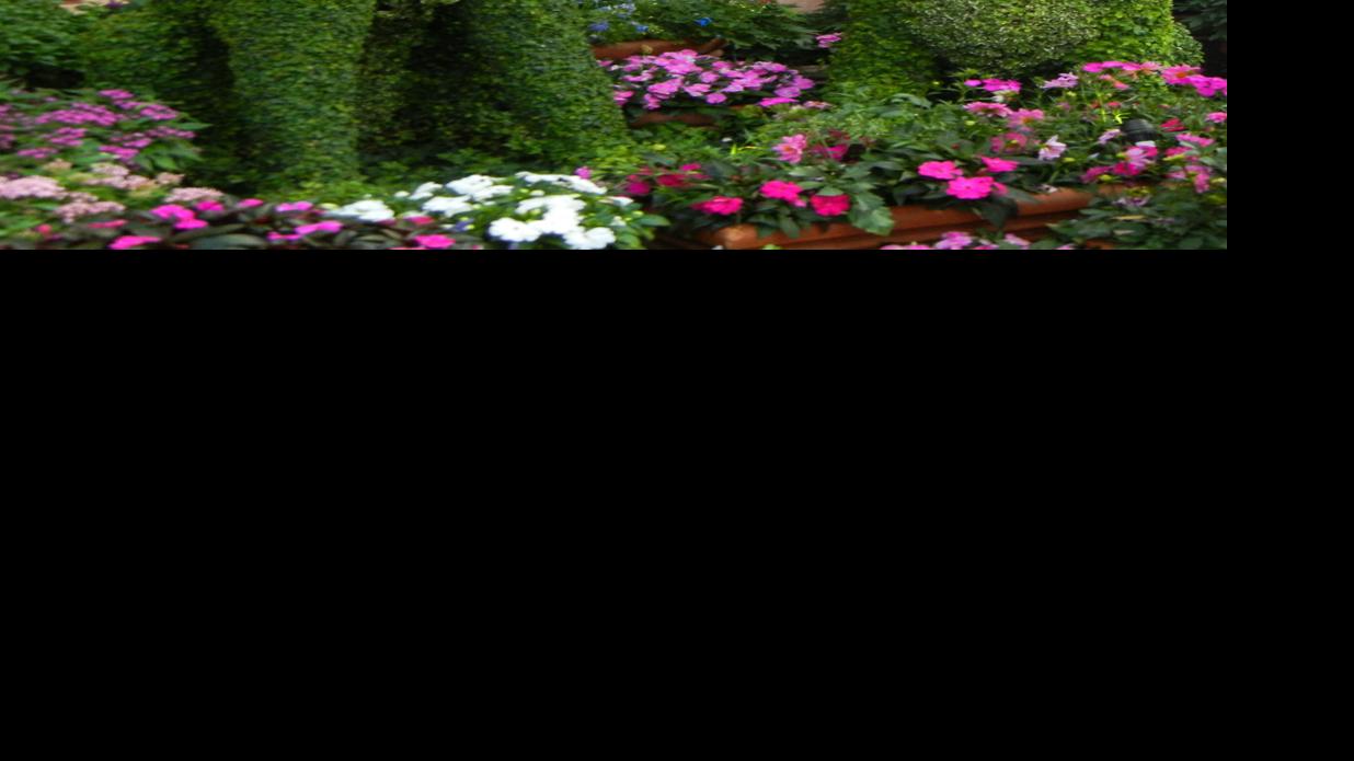 Topiary: A living sculpture | L Magazine | journalstar.com