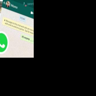 LPS addresses social media scare known as 'Momo challenge'