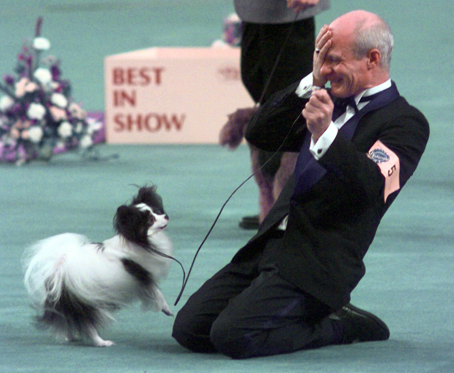 Then and now: The Westminster Kennel Club dog show at 150