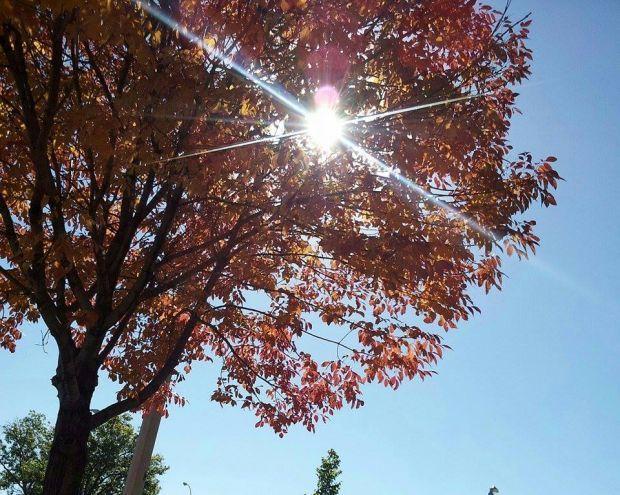 Photos: Fall splendor spreads across the state