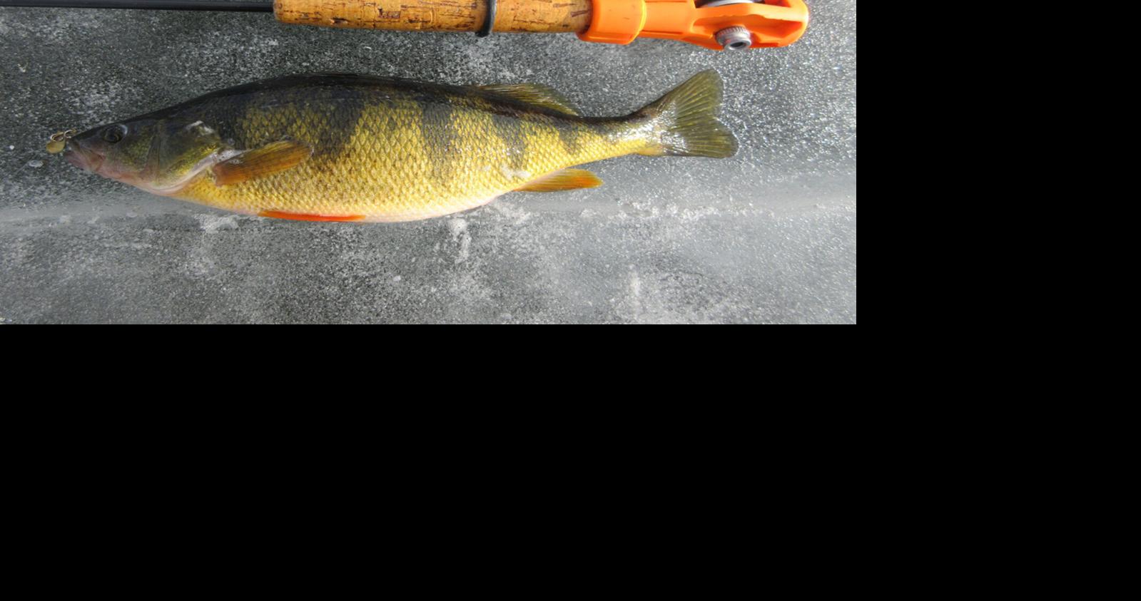 Leaving technology for old school fishing technique