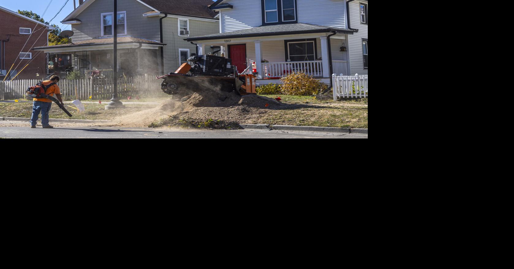 Lincoln axes trees along Goodhue Boulevard; neighbors react