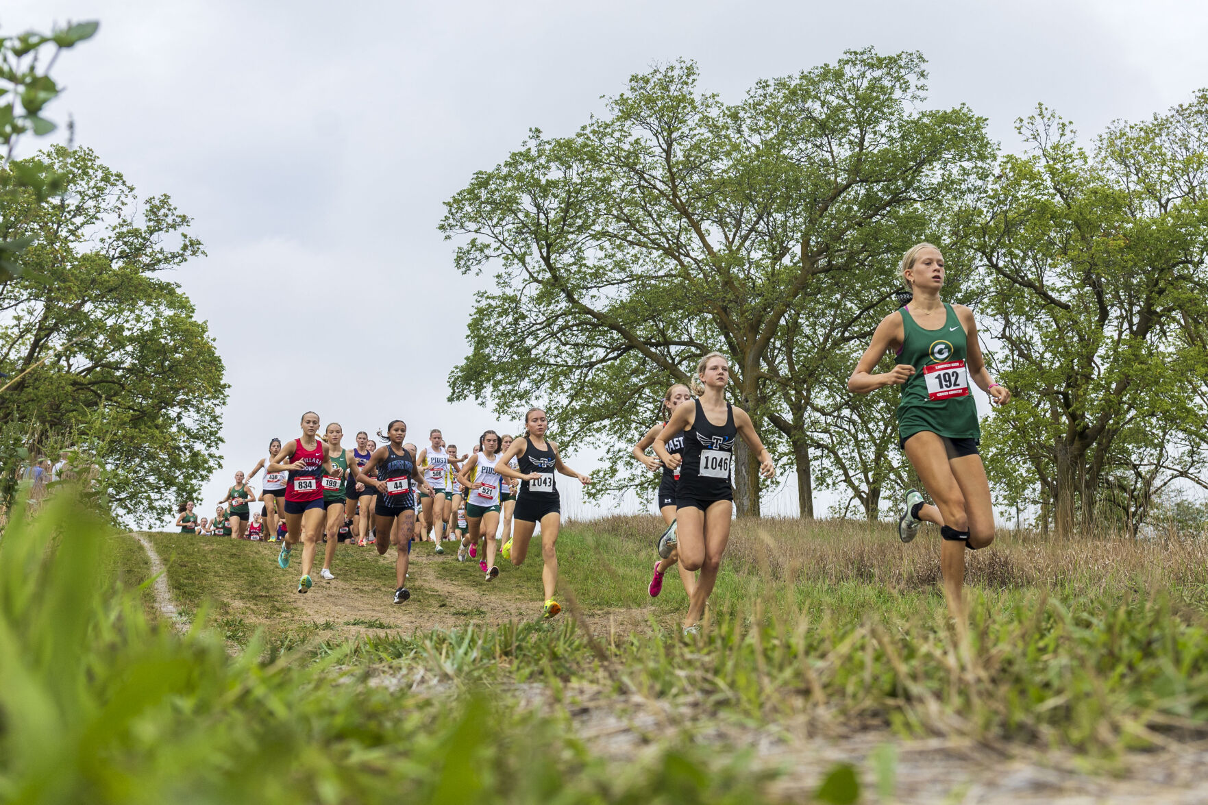 Photos: Lincoln cross country athletes compete in the Harold Scott ...