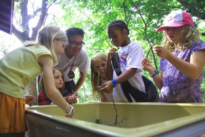 YMCA Camp Kitaki nurtures positive growth in youth