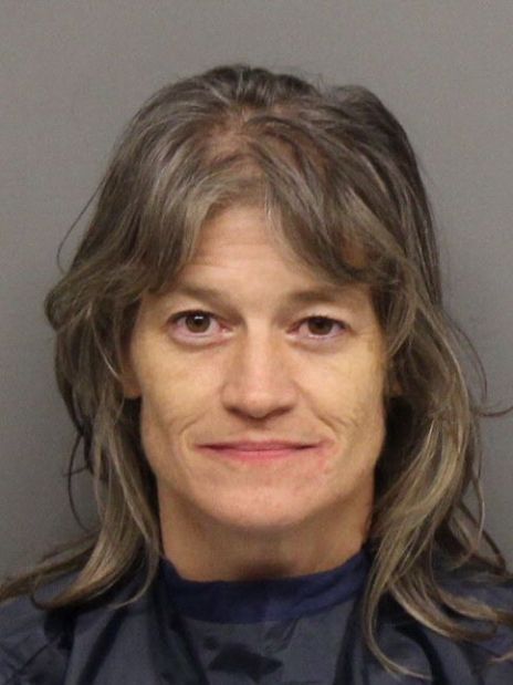 Lincoln mom gets house arrest for meth conspiracy | Crime and Courts ...