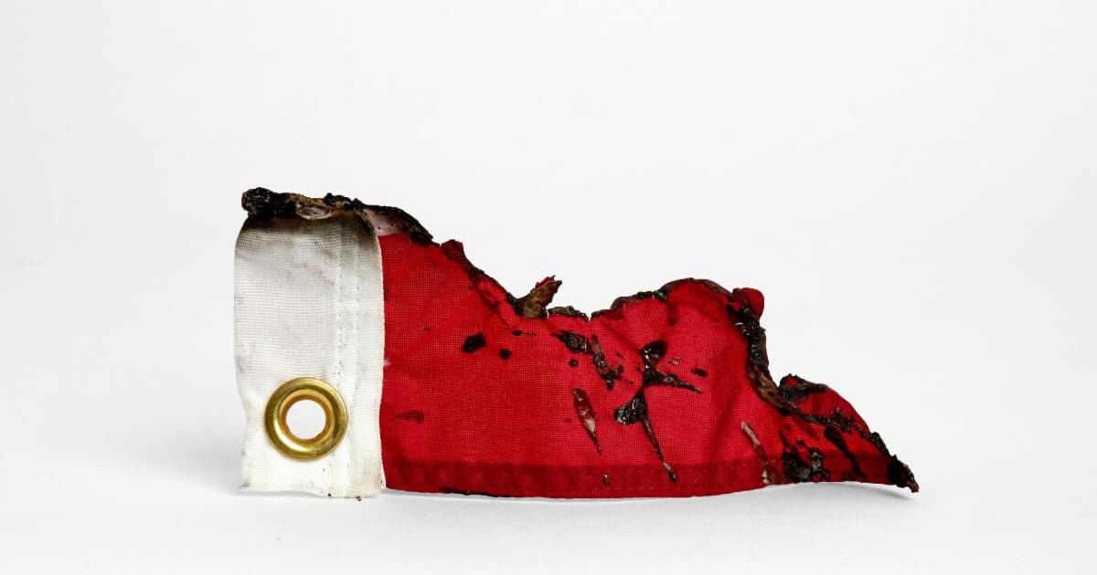 Bullets, wall drawings, burnt flag combine in artist's Fiendish Plots ...