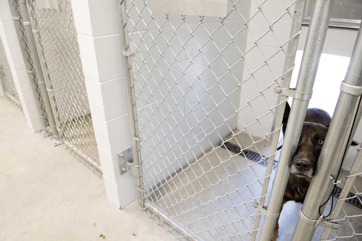 Lincoln police dogs and their handlers have new training grounds