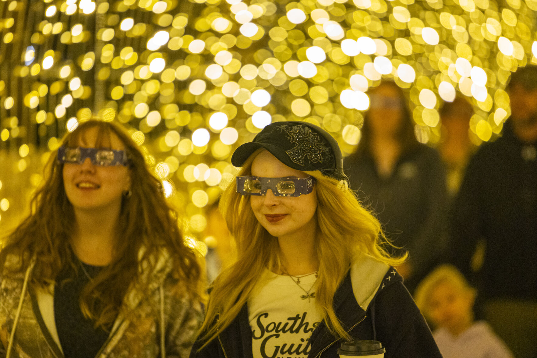 Lights at the Lincoln Zoo and tunnels and holiday music