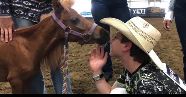 Remarkable Kids Rodeo allows children of all abilities to experience ...