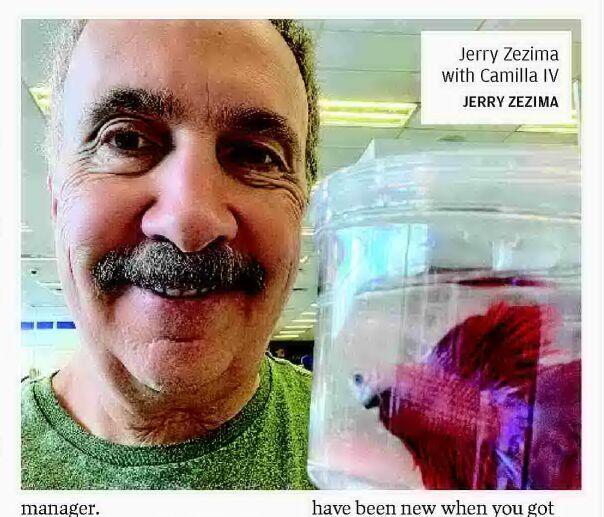 Funeral for a betta fish