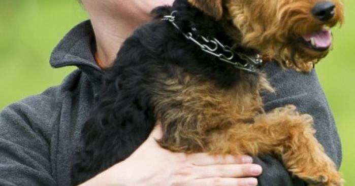 The hurting and healing of Rachel Karr