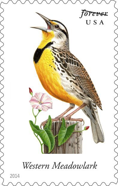 Nebraska state bird to star on new stamps | Local | journalstar.com