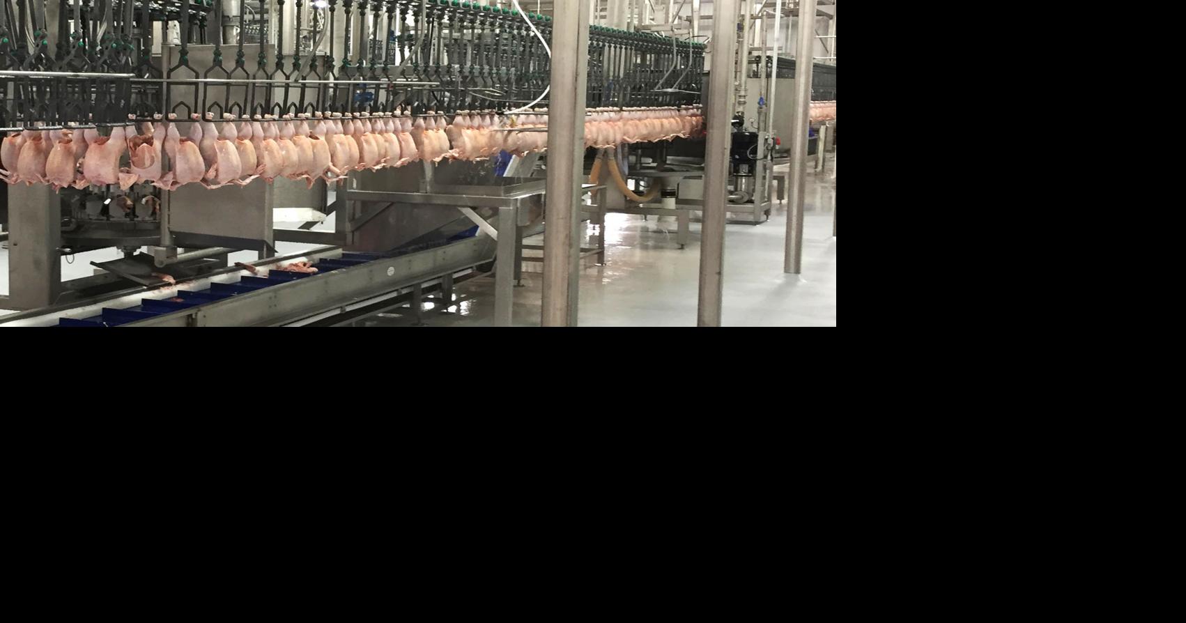 Gage County Board OKs poultry farm permit