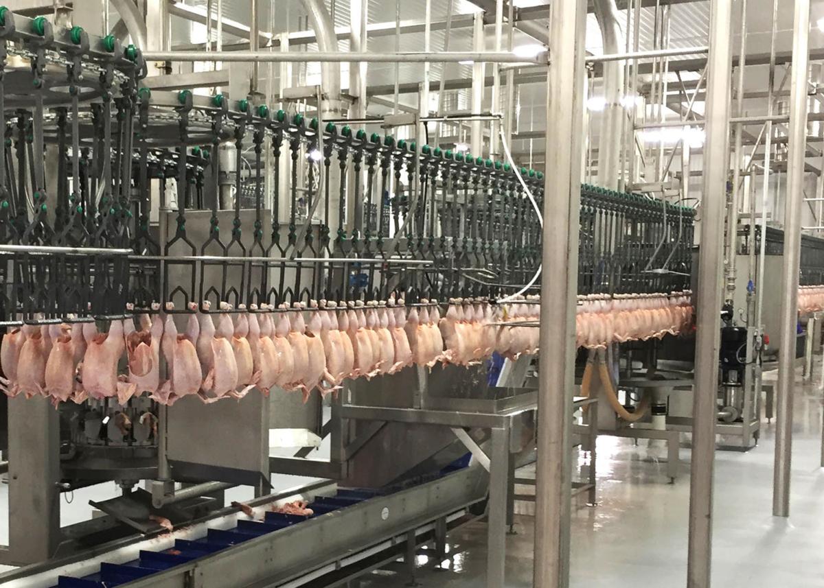 Gage County Board OKs poultry farm permit