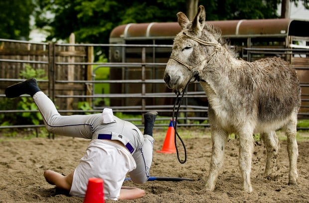 Palmyra bar revives once-popular donkey polo