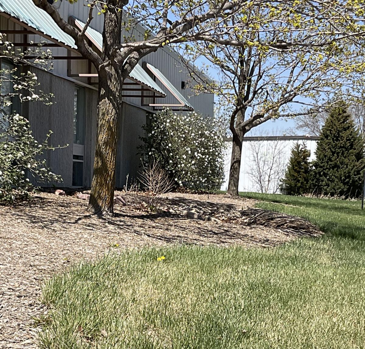 Sarah Browning: Water smartly to combat spring drought