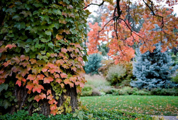 Photos: Fall colors in Nebraska