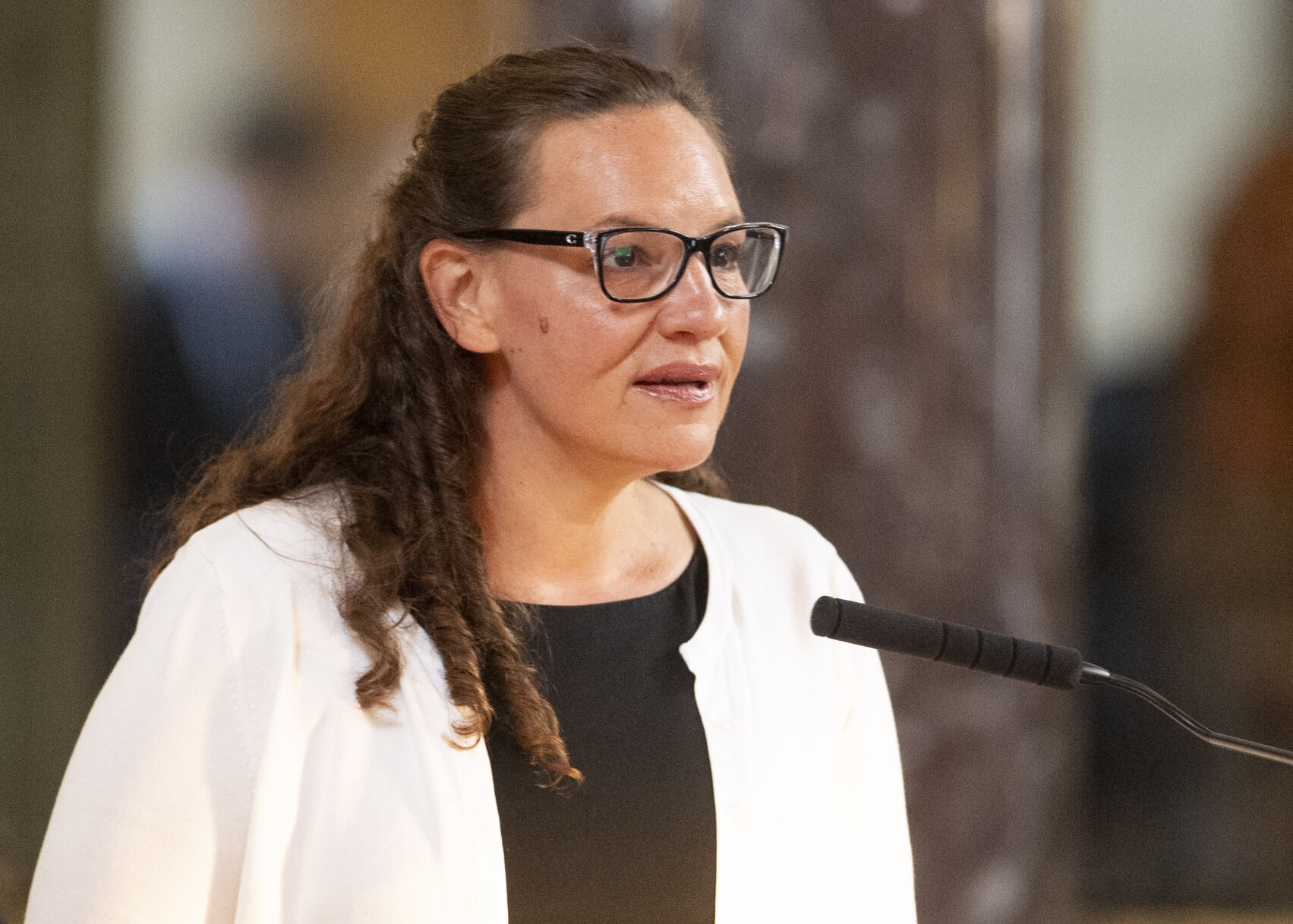 Lincoln Sen. Danielle Conrad running for Legislature again