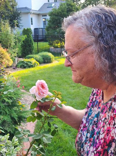 Lincoln Rose Society’s fall show Sept. 9