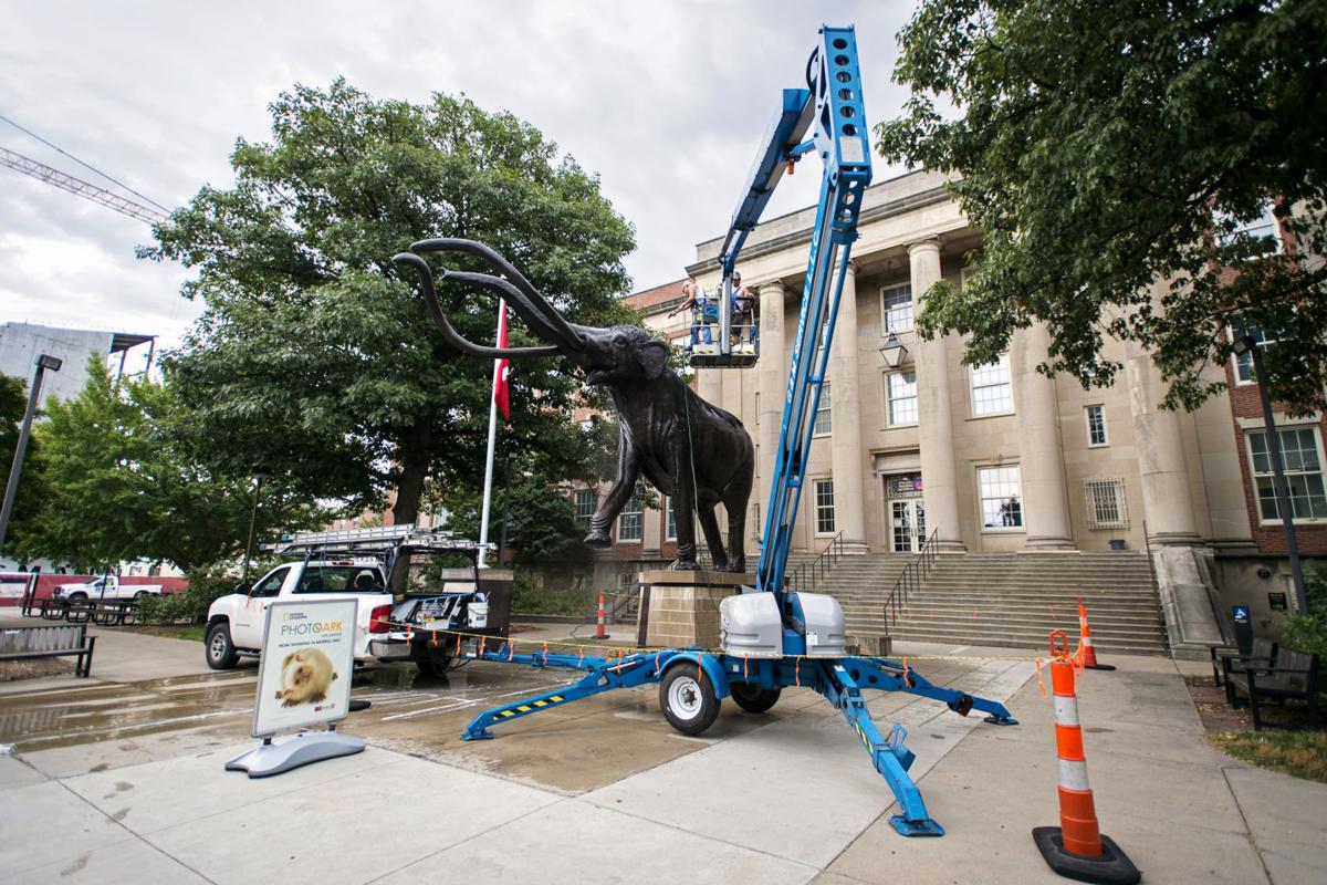 Morrill Hall renovation moves forward | Education | journalstar.com
