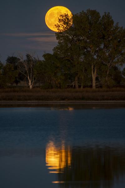 Learn the language of the outdoors