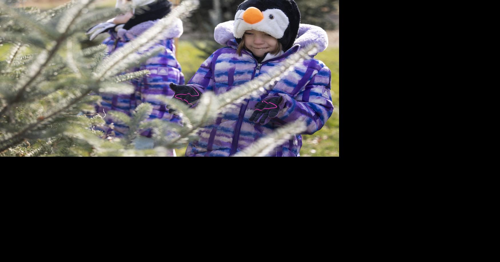 Nebraska Christmas tree farm near Hallam draws families