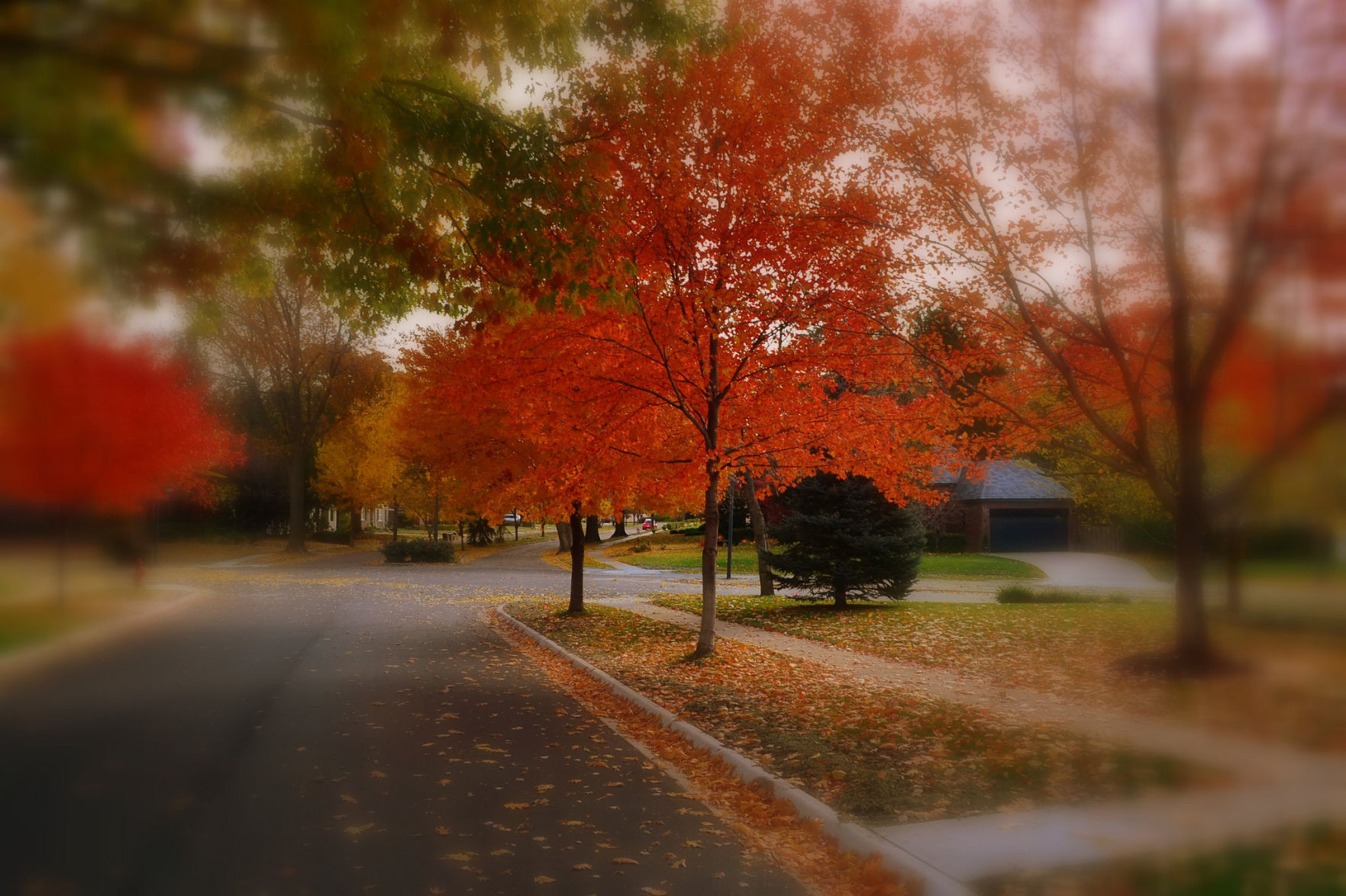 Photos: Fabulous fall colors