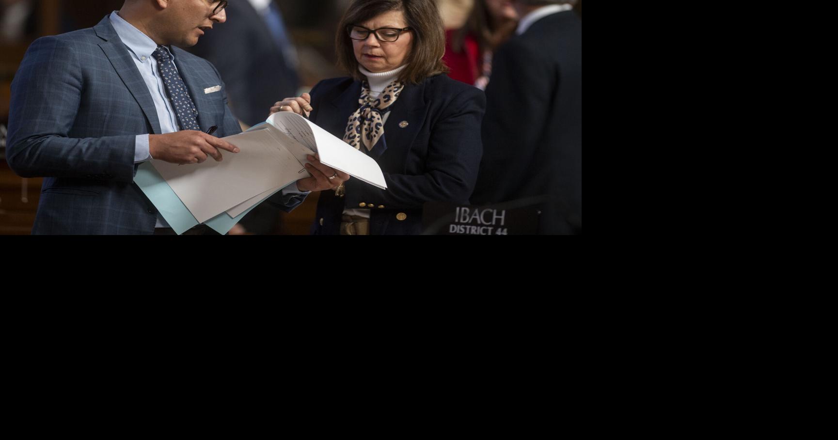 Senators backtrack, remove amendment allowing DACA recipients to become ...