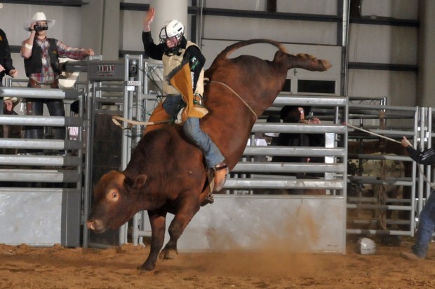 Ride in the new year at bull-riding tour