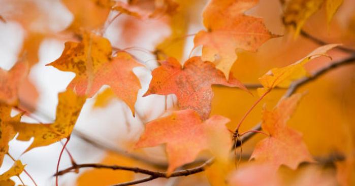 Photos: Fall colors in Nebraska