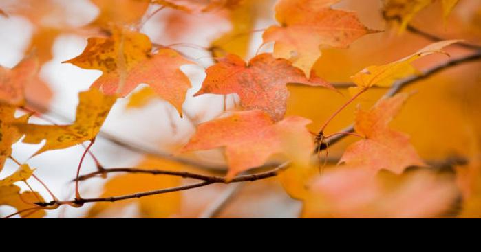Photos: Fall colors in Nebraska