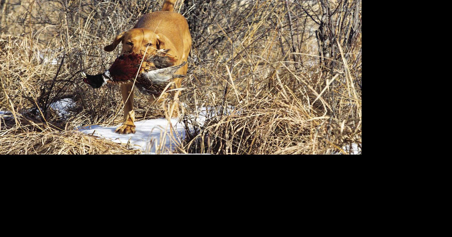 Controlled shooting area offers opportunity for family hunt