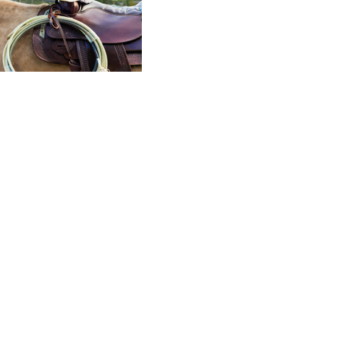 Sen. Sasse names local winners in statewide photo contest