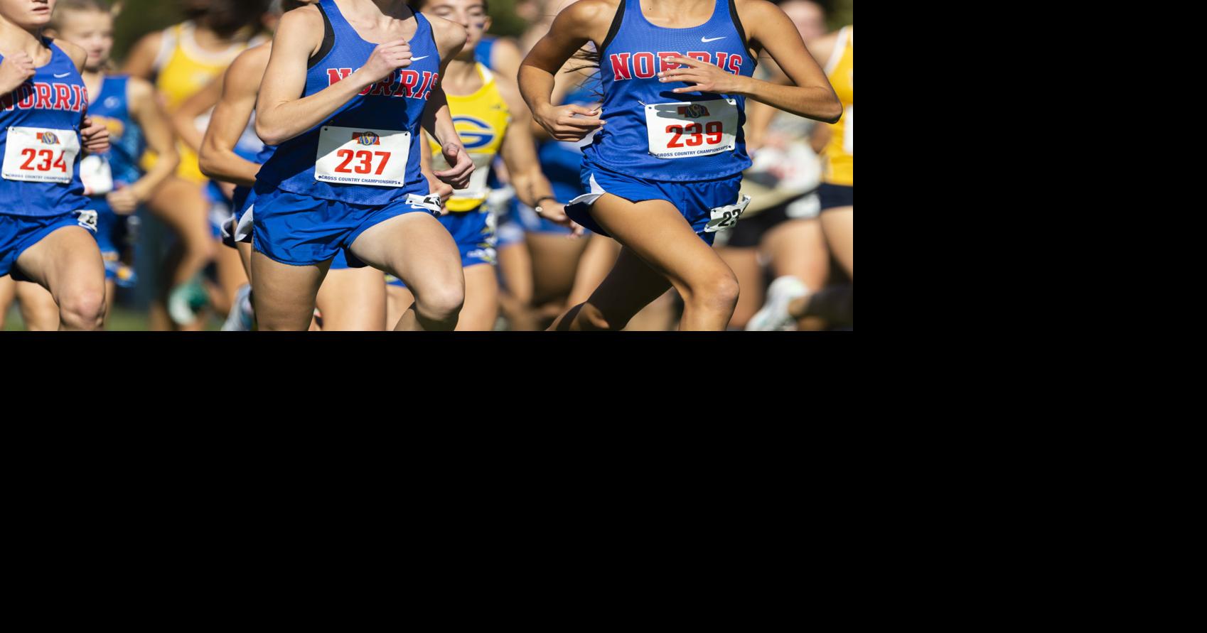 Here's a look at Friday's state cross country results
