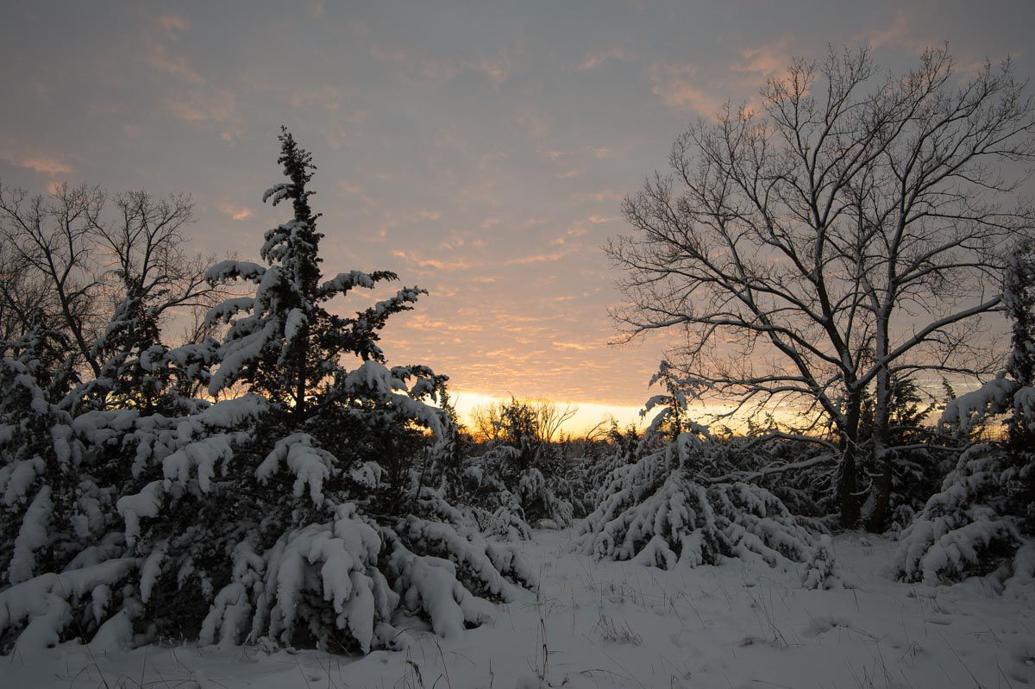 Winter is here: Beautiful scenes of the season in Nebraska