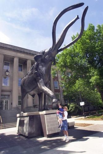 Morrill Hall offers free admission on Thursday nights