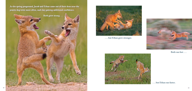 ‘The Tale of Jacob Swift’