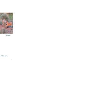 ‘The Tale of Jacob Swift’