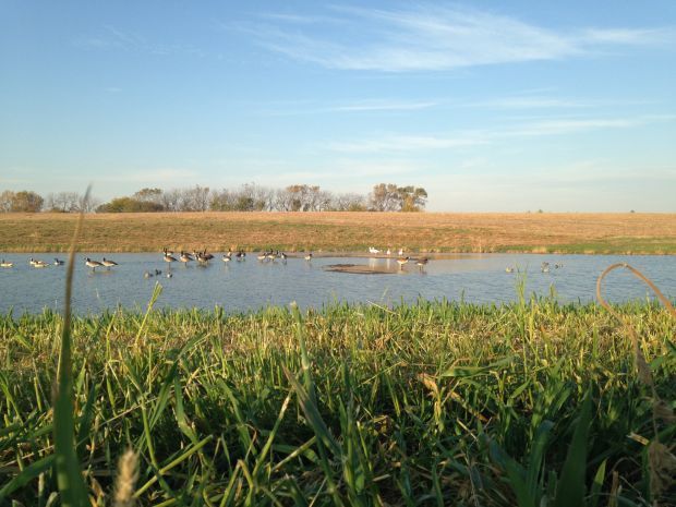County Line Hunting makes hunting waterfowl easy