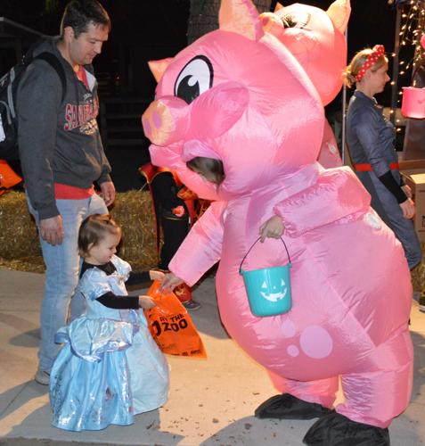 Boo at the Zoo draws record attendance