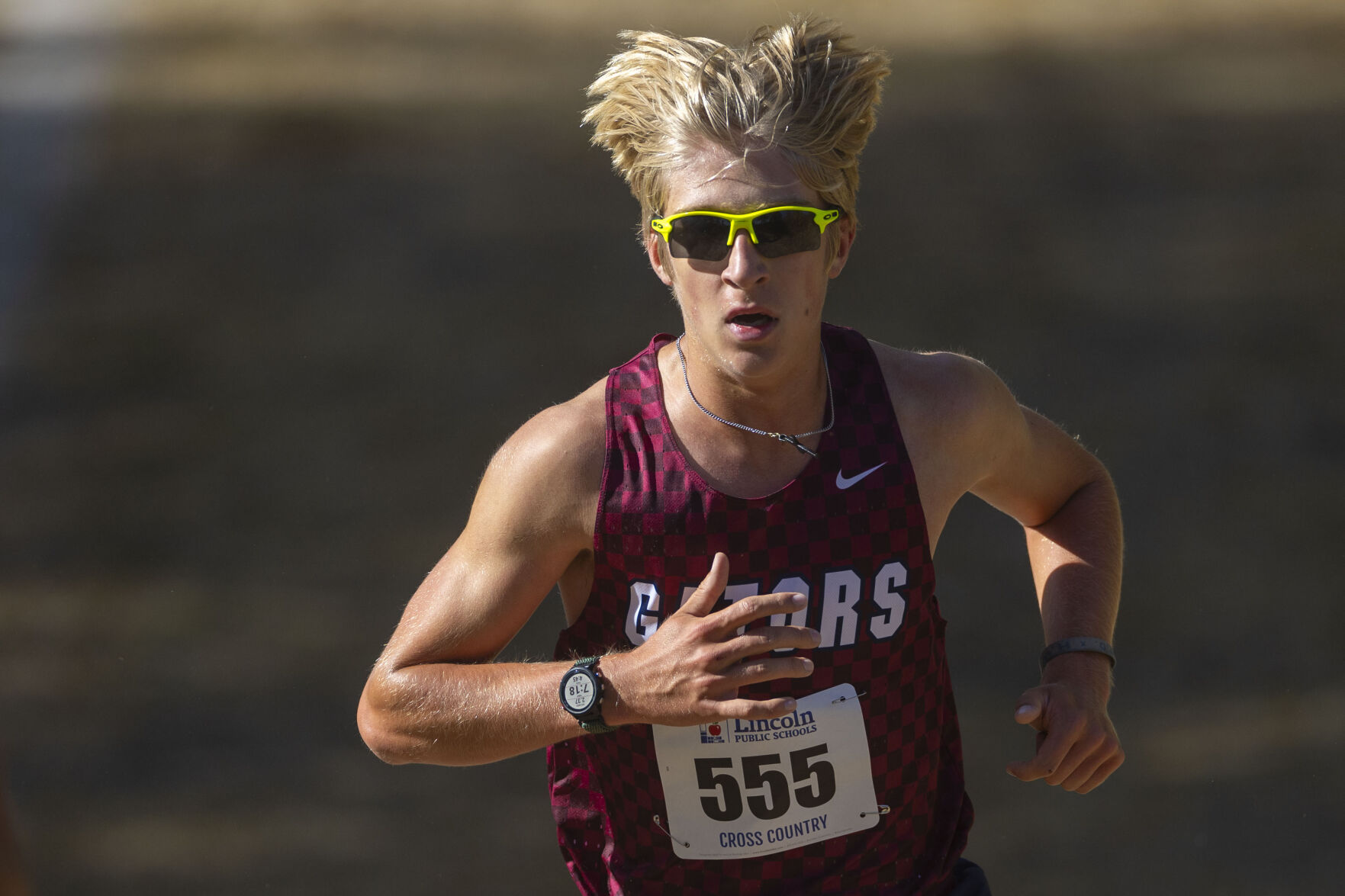 2024 Journal Star All-City fall sports: Cross country