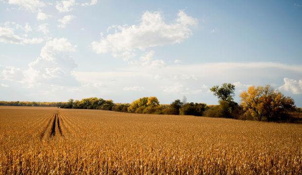 Photos: Fall colors in Nebraska
