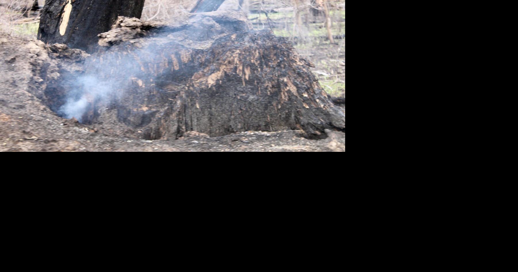Fire near Ponca Hills burned trees, killed wildlife