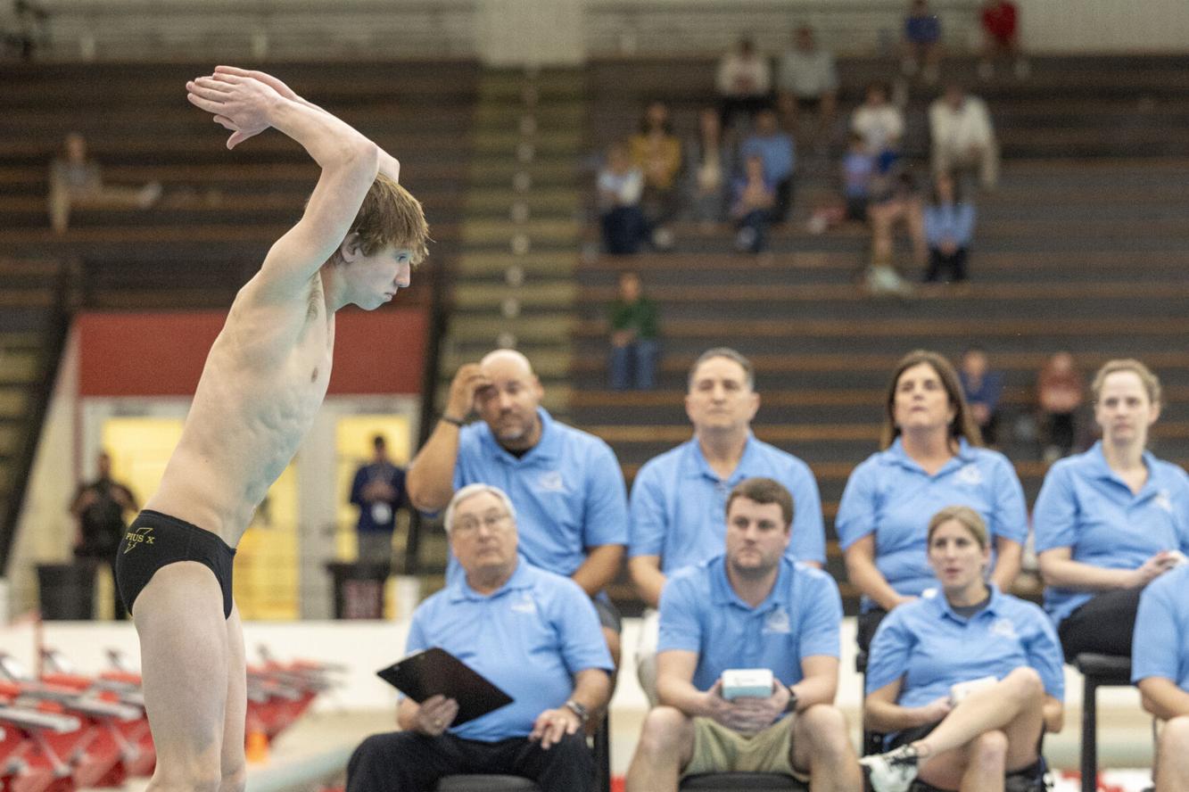 Lincoln Pius X's David Hatt brushes off training scare to win 2nd state ...