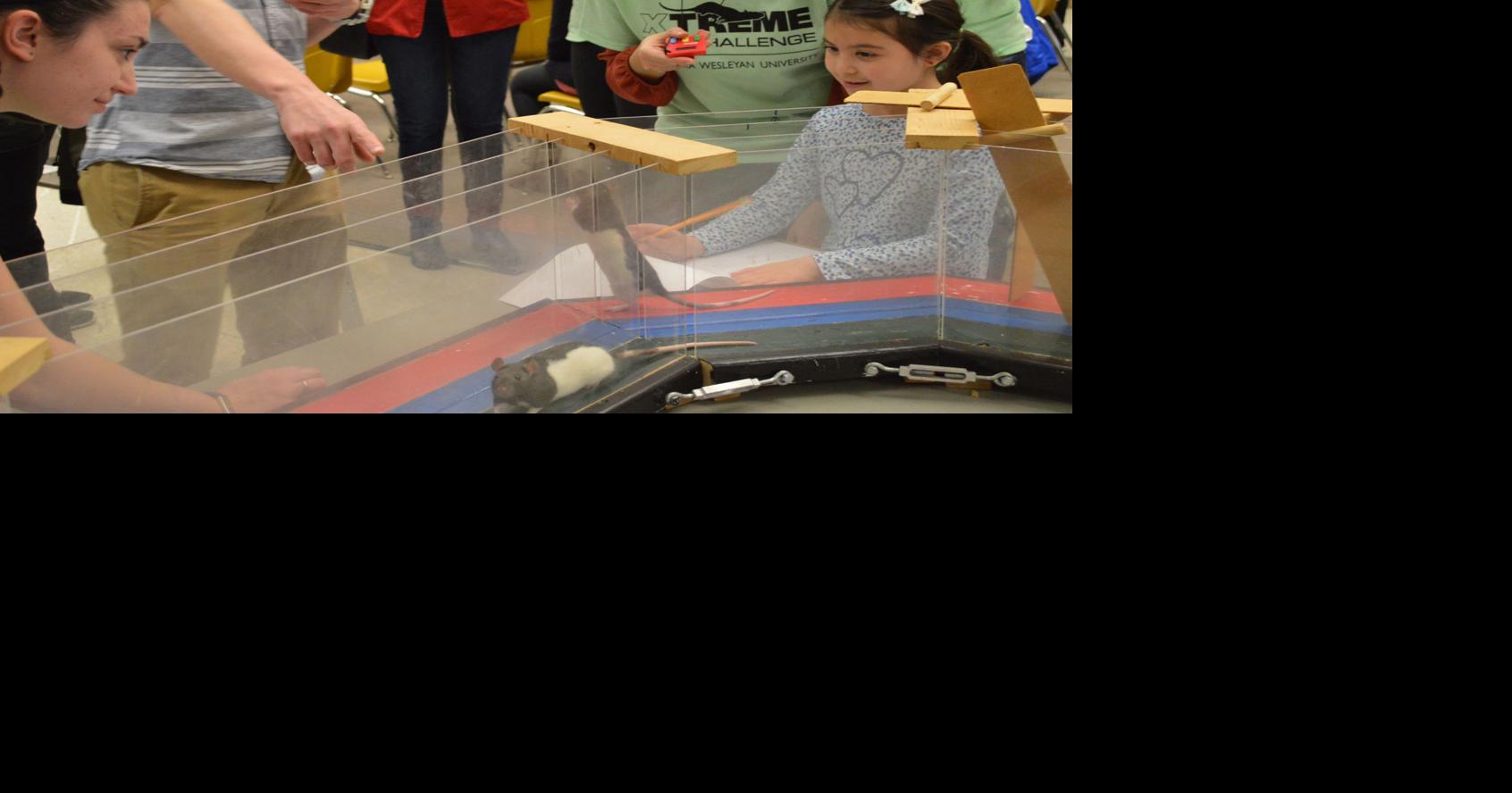 Photos: Xtreme Rat Challenge