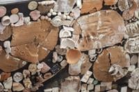 World's largest time capsule opened in Nebraska