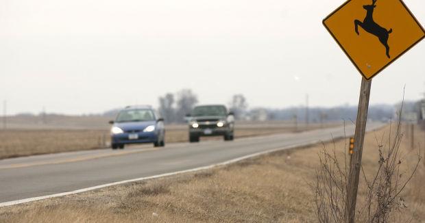 First rule of avoiding a deer collision: Slow down