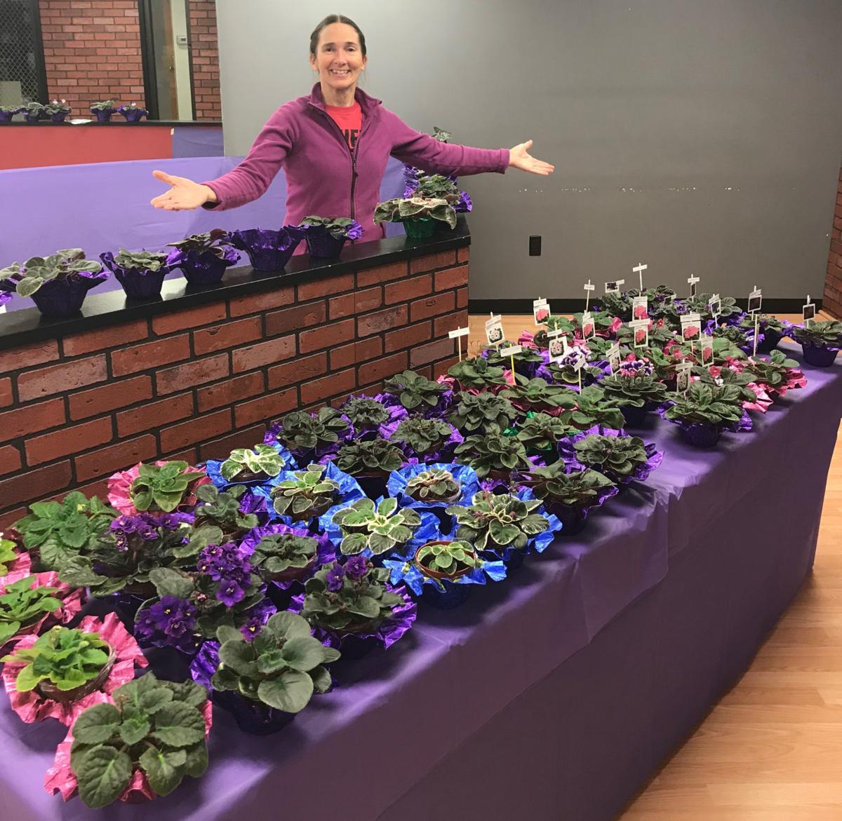 Lincoln African Violet Society Mother's Day Sale May 9