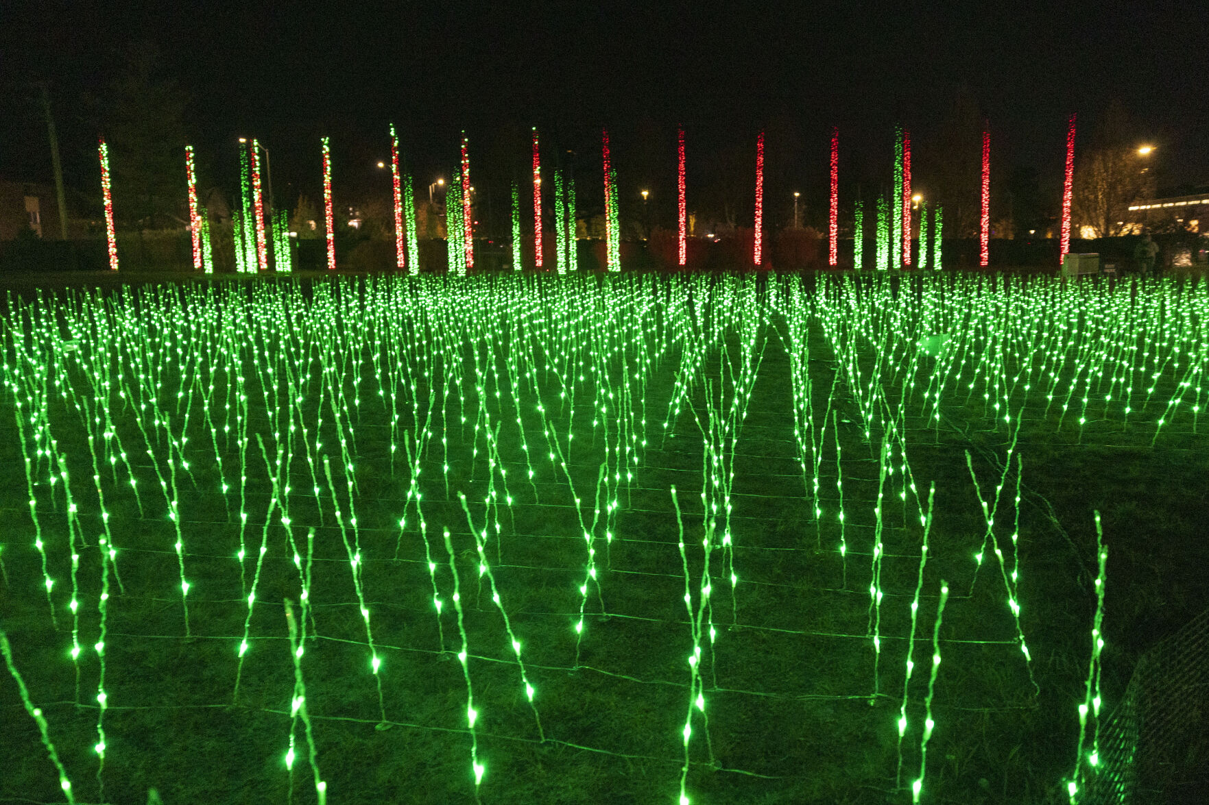 A sparkling season: Christmas light shows shine bright with holiday cheer