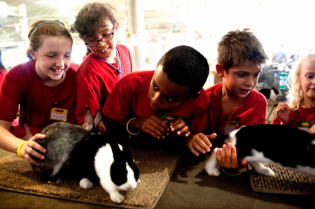 Saturday's Lancaster County Fair highlights